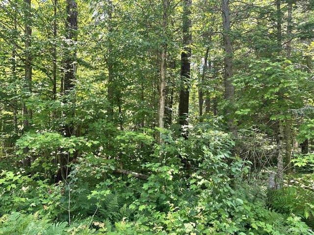 County Road 482, Ishpeming, MI 49849