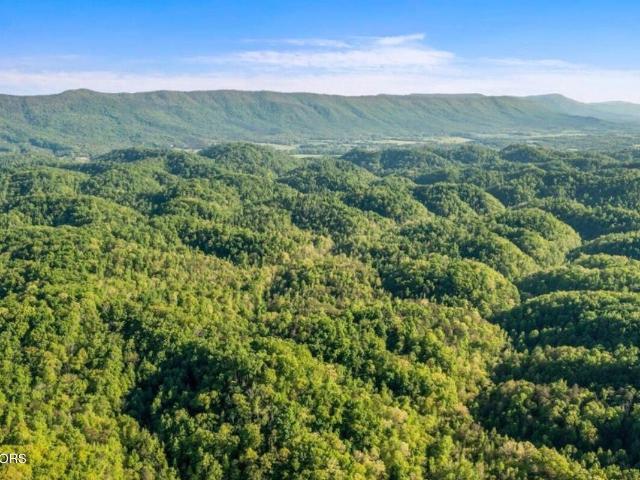 County Road 484, Etowah, TN 37331