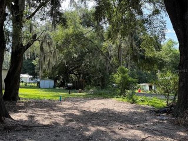 County Road 491W, Lake Panasoffkee, FL 33538