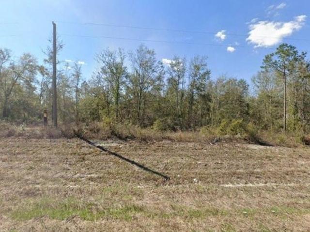 County Road 49, O'Brien, FL 32071