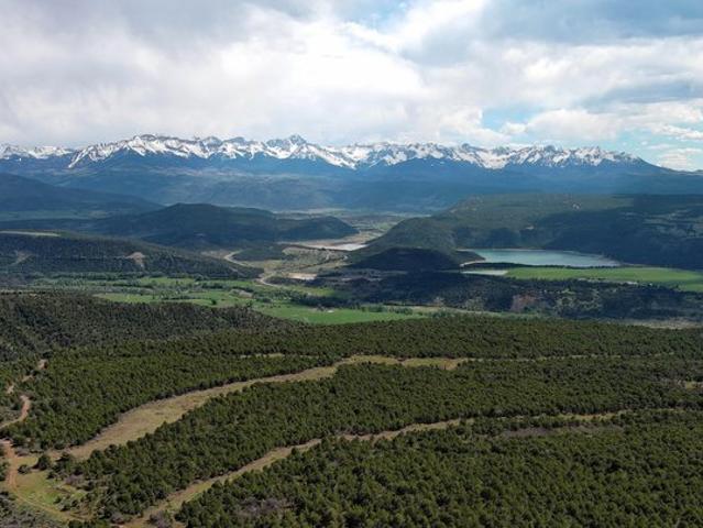 County Road 4, Ridgway, CO 81432