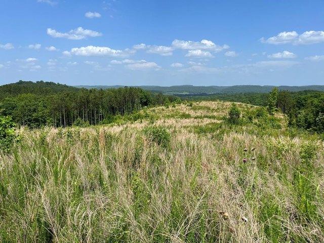 County Road 53, Athens, TN 37303