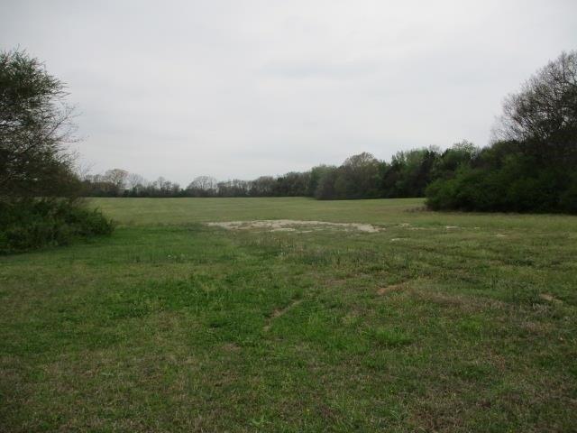 County Road 53, Rogersville, AL 35652
