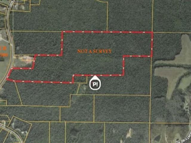 County Road 500, Rienzi, MS 38865