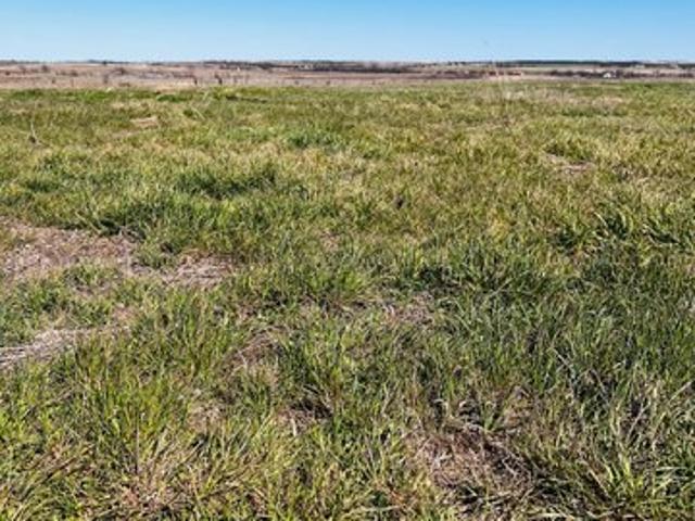 County Road 506, Hamilton, TX 76531