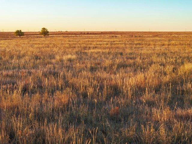 County Road 509, Hereford, TX 79045