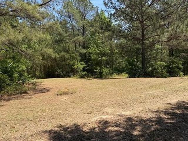 County Road 50, Abbeville, AL 36310