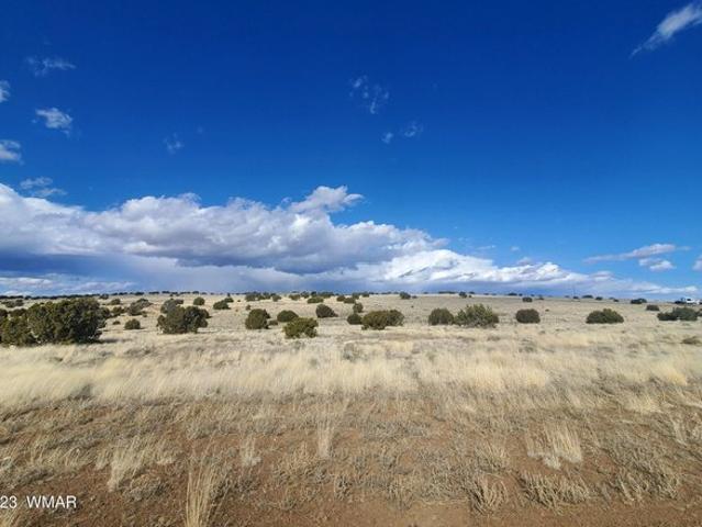 County Road 5111, Concho, AZ 85924