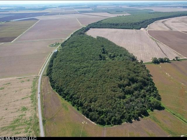 County Road 515, Schlater, MS 38952