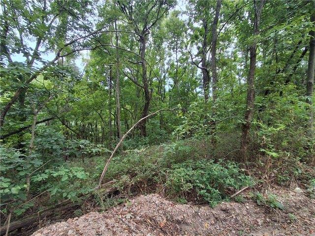 County Road 517 Lots 2 & 3, Berryville, AR 72616
