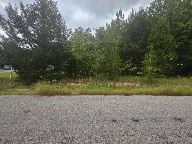 County Road 518 # Lot 23