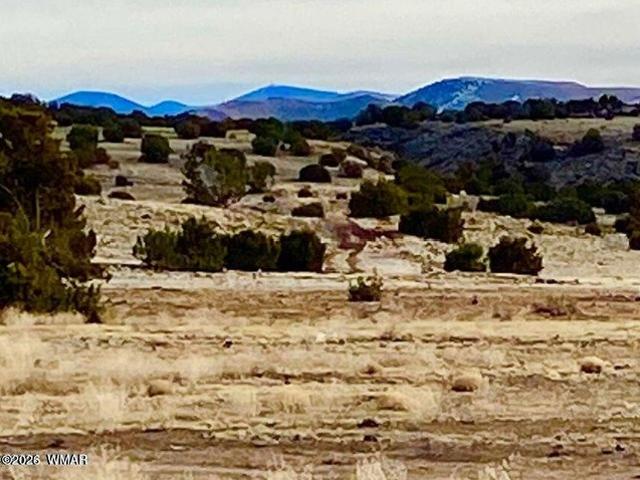 County Road 5201 Acres, Concho, AZ 85924