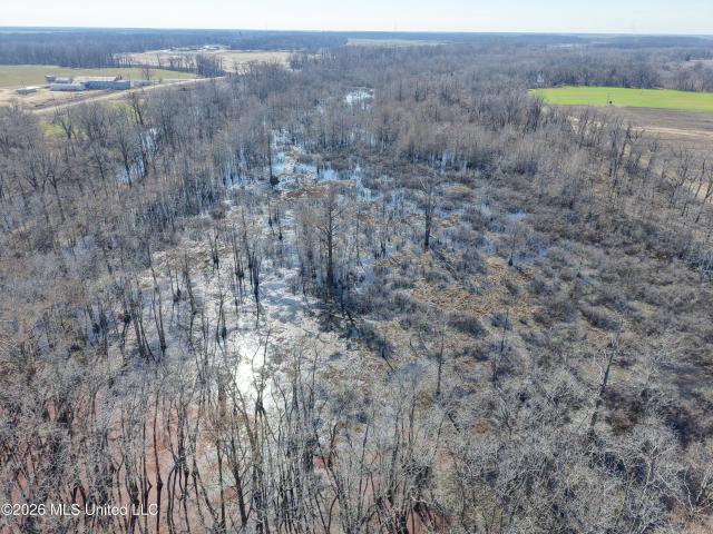 County Road 526, Minter City, MS 38944