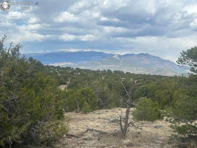 County Road 530, Walsenburg, CO 81089