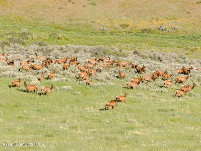 County Road 57, Hayden, CO 81639