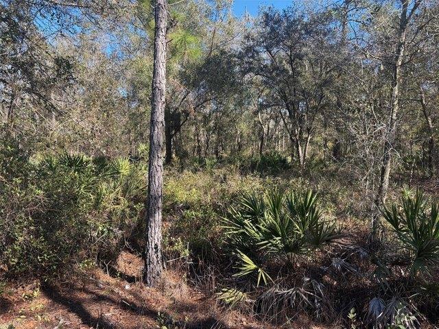 County Road 54, Kathleen, FL 33849