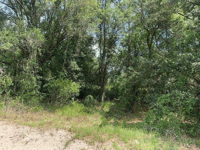 County Road 54, Kathleen, FL 33849