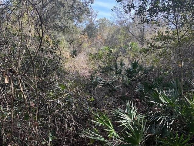 County Road 54, Kathleen, FL 33849