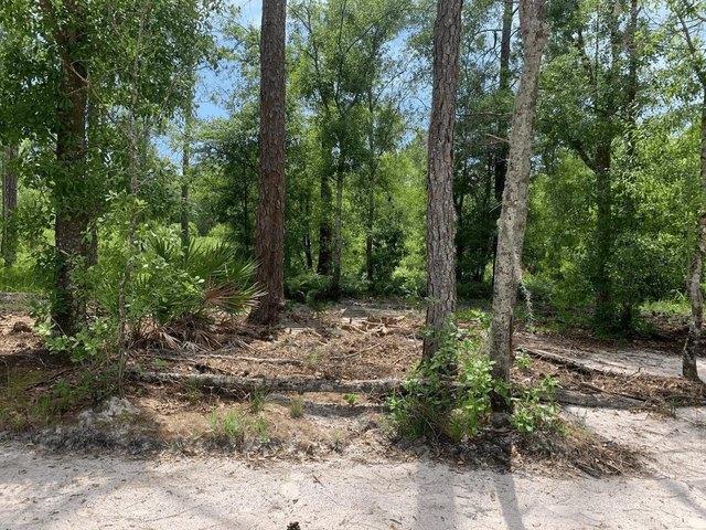 County Road 54, Kathleen, FL 33849