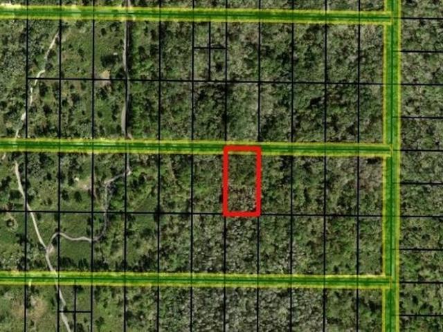 County Road 54, Kathleen, FL 33849