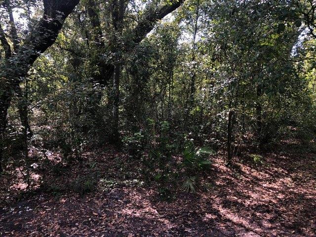 County Road 54, Kathleen, FL 33849