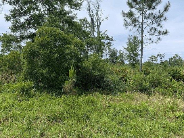 County Road 54, Kathleen, FL 33849
