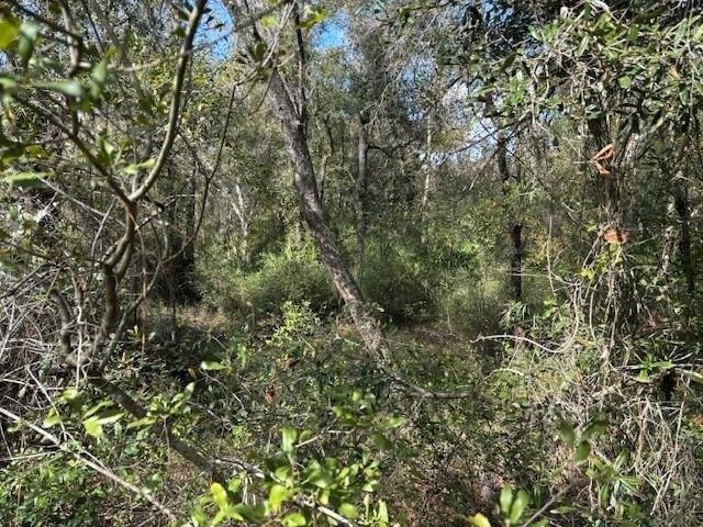 County Road 54, Kathleen, FL 33849