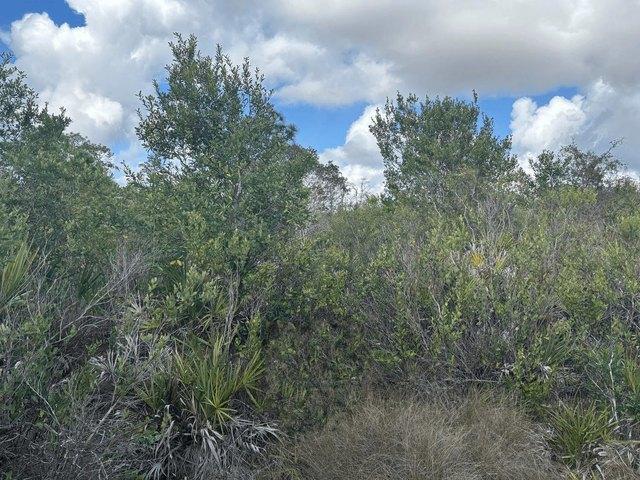 County Road 54, Kathleen, FL 33849