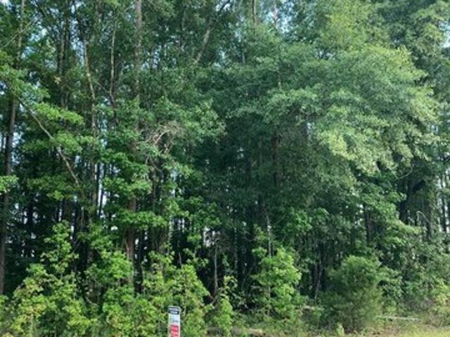 County Road 5509, Troy, AL 36081