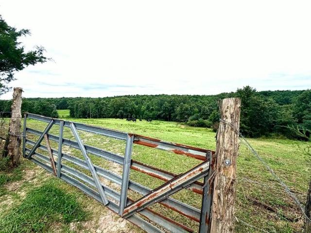 County Road 585, Winona, MO 65588