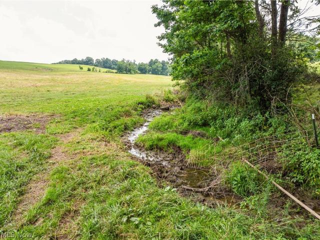 County Road 59
