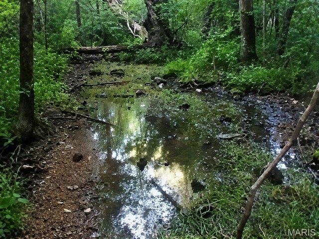 County Road 5, Viburnum, MO 65566