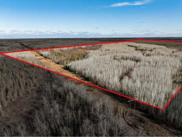 County Road 60, Grand Rapids, MN 55744