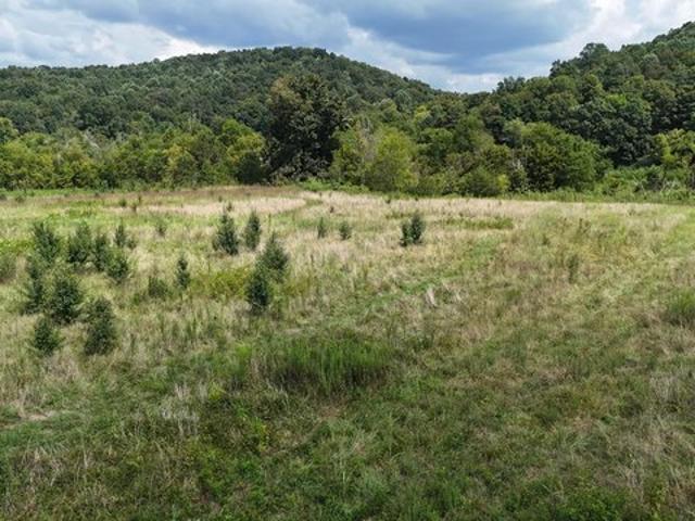 County Road 60, Riceville, TN 37370