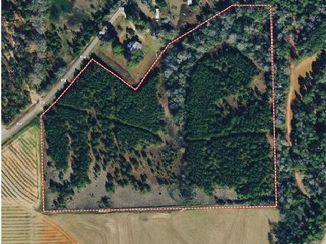 County Road 61, Columbia, AL 36319