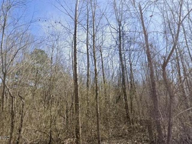 County Road 636, Corinth, MS 38834