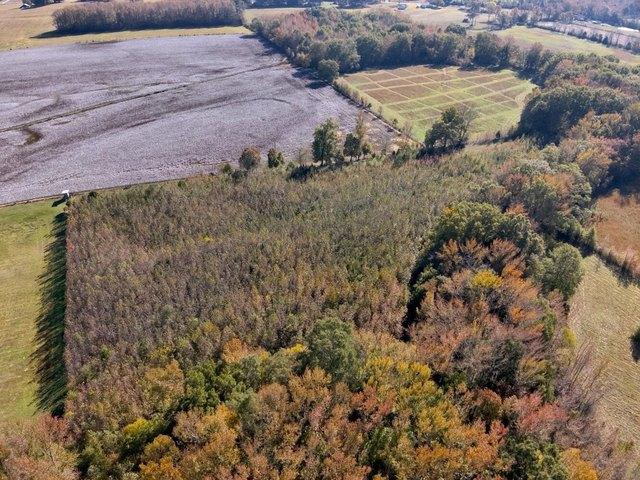 County Road 67, Lexington, AL 35648