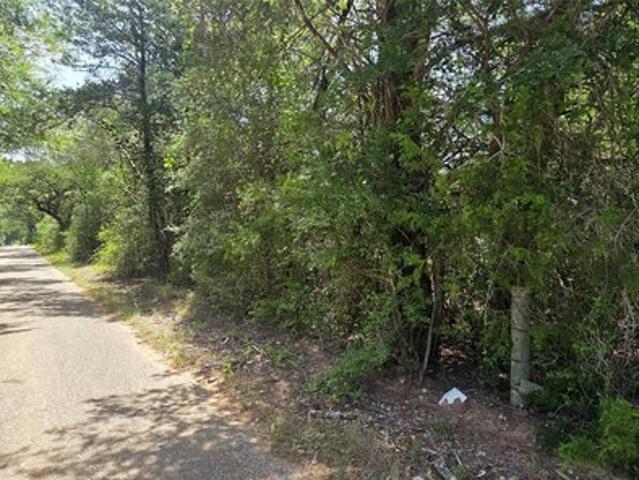 County Road 660, Teague, TX 75860