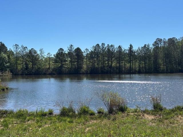 County Road 6618, Banks, AL 36005