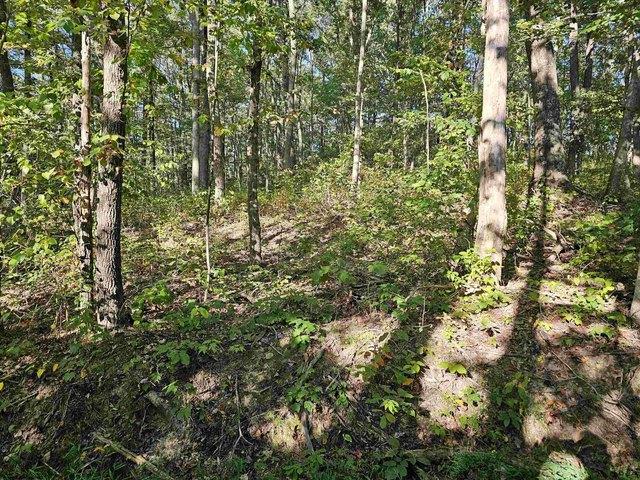 County Road 66/1 Rd, Charleston, WV 25306