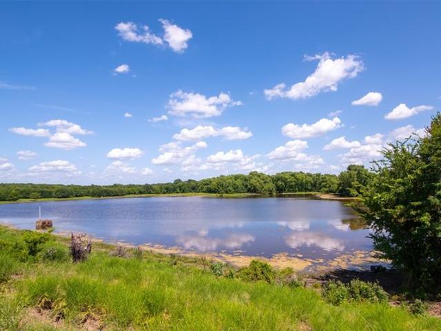County Road 663, Farmersville, TX 75442