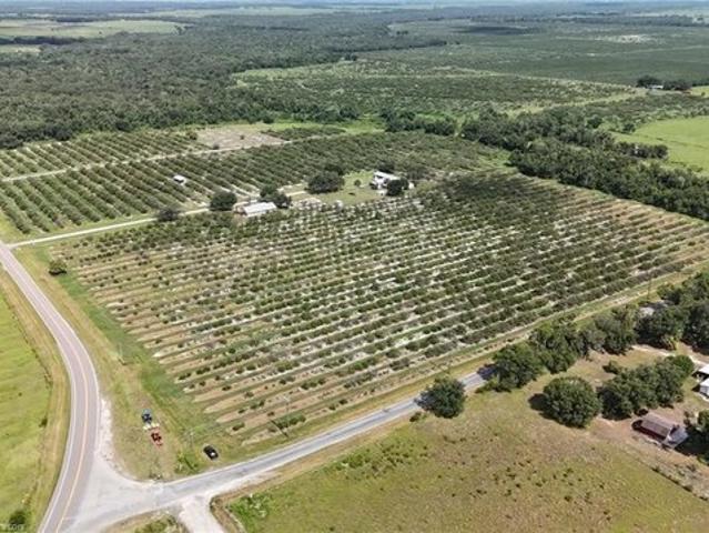 County Road 665 Rd, Ona, FL 33865