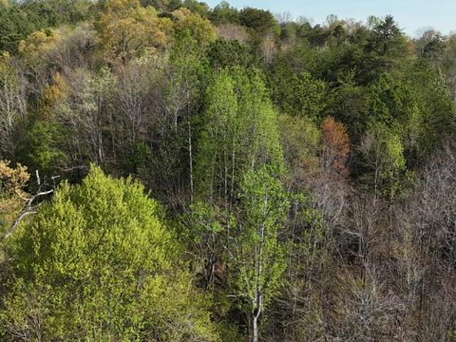 County Road 675, Athens, TN 37303