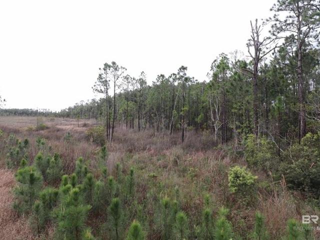 38878 County Road 6, Gulf Shores, AL 36561