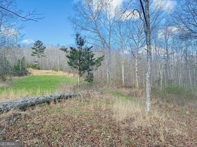 County Road 709, Valley Head, AL 35989