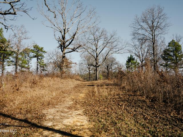 County Road 70, Coffeeville, MS 38922
