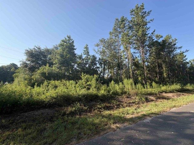 County Road 721, Buna, TX 77612