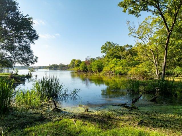 County Road 750, Thornton, TX 76687