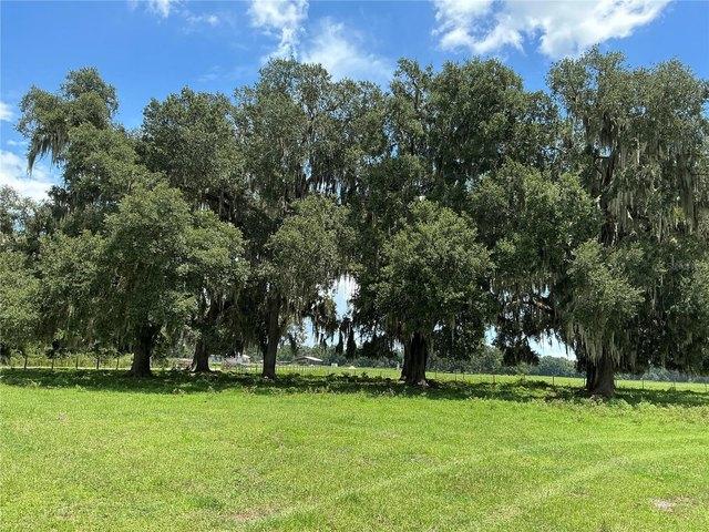 County Road 755, Webster, FL 33597
