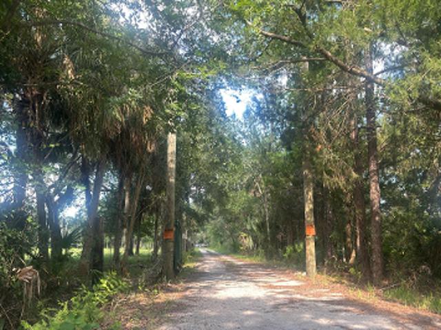 County Road 75